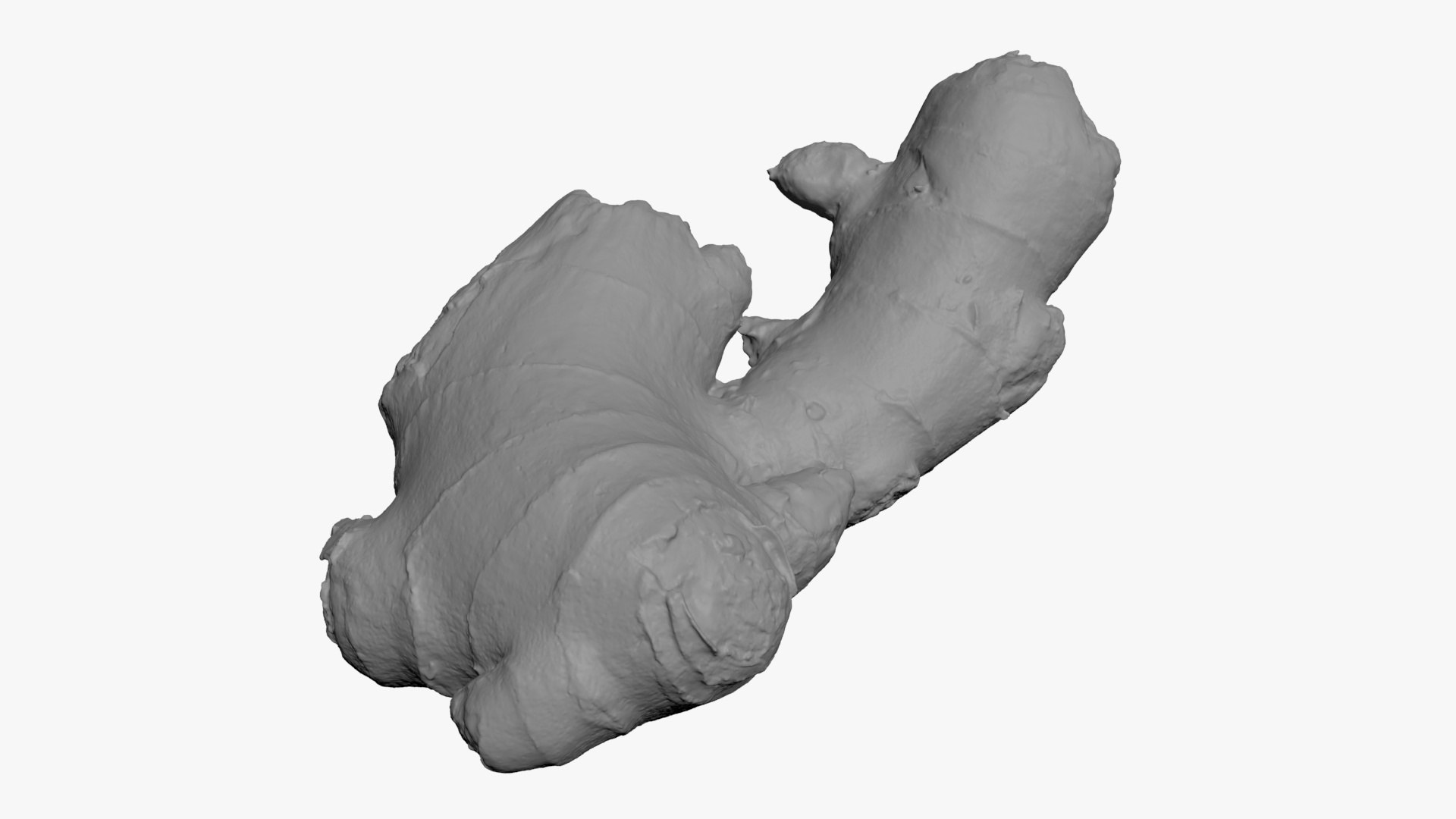 Ginger Root 03 For 3D Print Model - TurboSquid 2387964