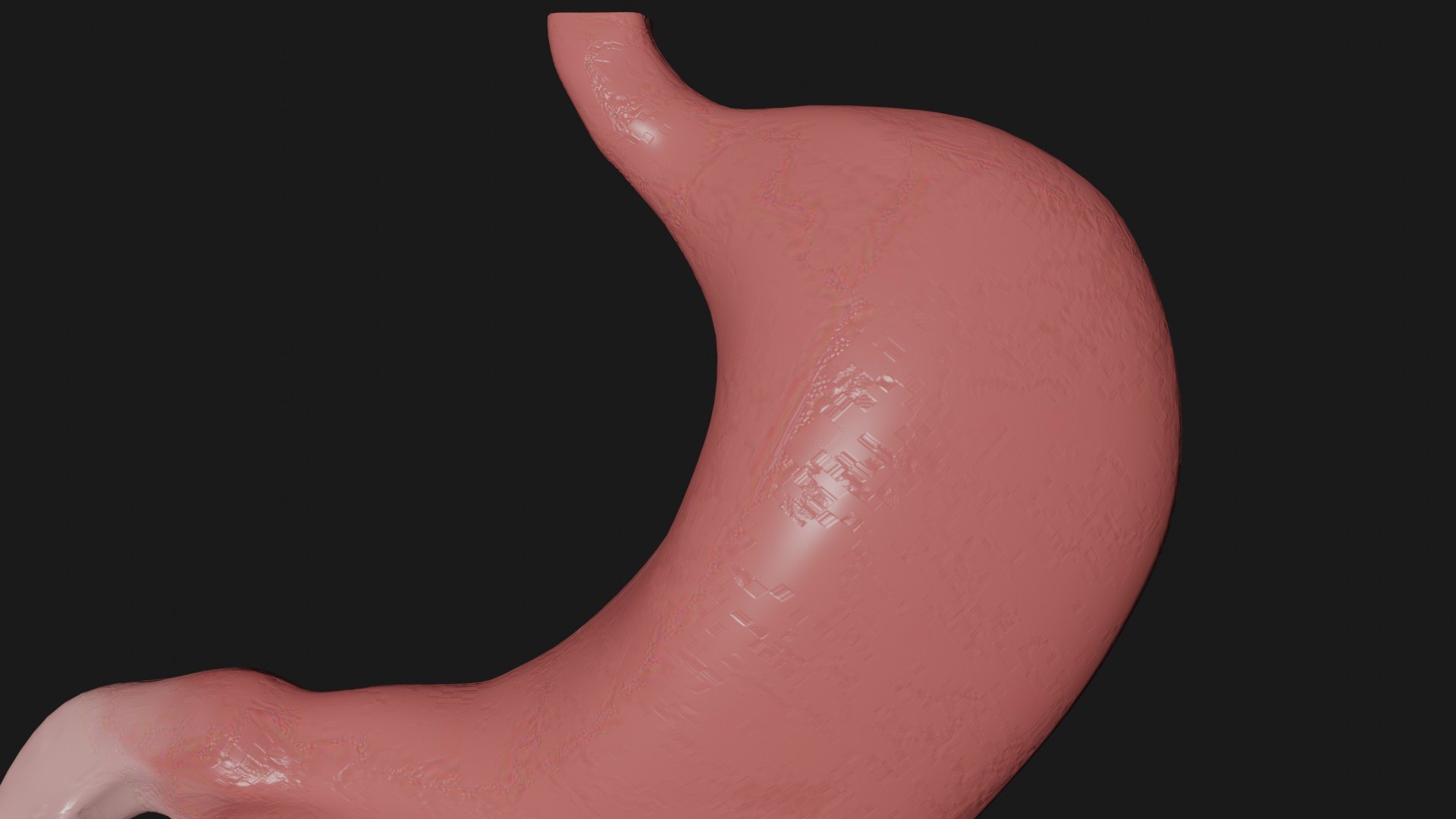 3D Stomach Science Organ - TurboSquid 1673982