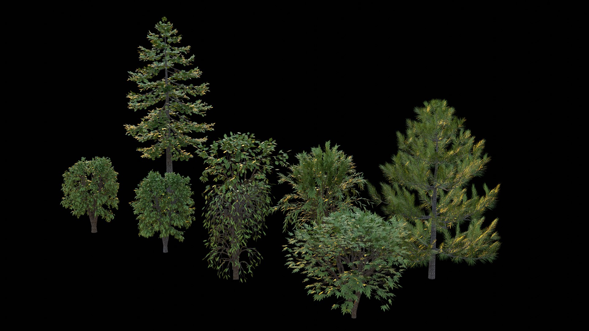 Trees Collection OBJ FBX DAE Collada 3D Model - TurboSquid 1741012