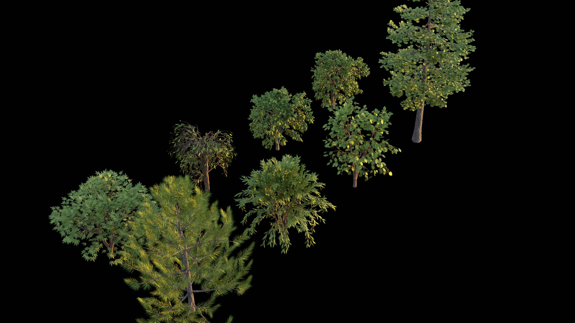 Trees Collection OBJ FBX DAE Collada 3D Model - TurboSquid 1741012