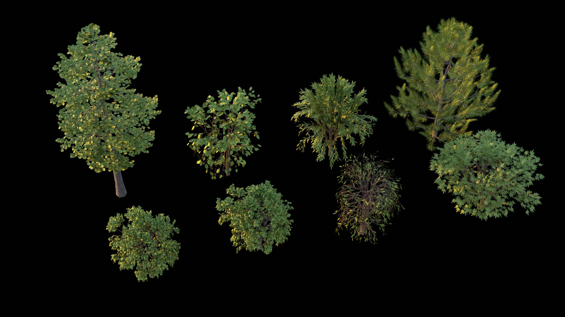 Trees Collection OBJ FBX DAE Collada 3D Model - TurboSquid 1741012