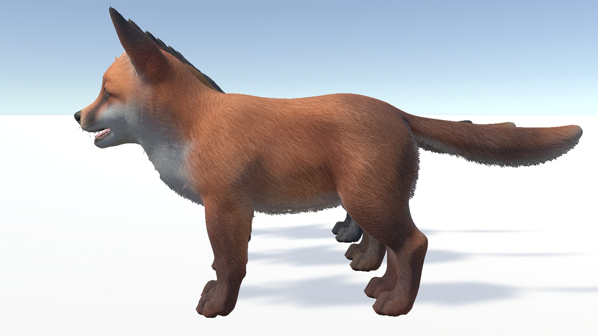 Fox - Cub 3D Model - TurboSquid 2109755
