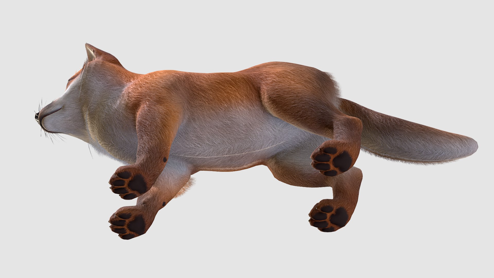 Fox Cub 3d Model Turbosquid 2109755