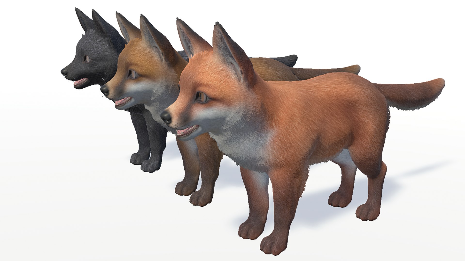 Fox Cub 3d Model Turbosquid 2109755