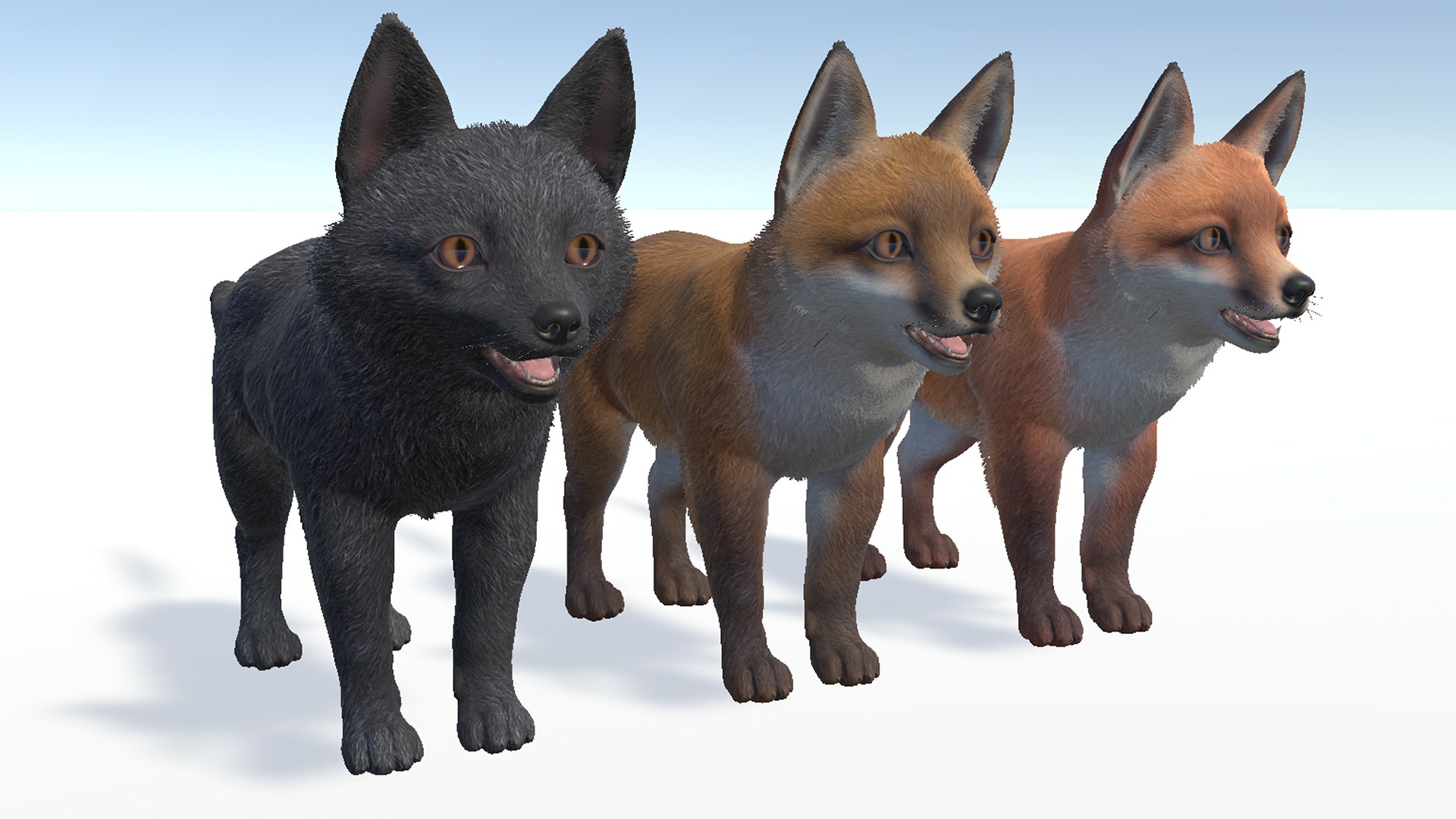 Fox - Cub 3D Model - TurboSquid 2109755