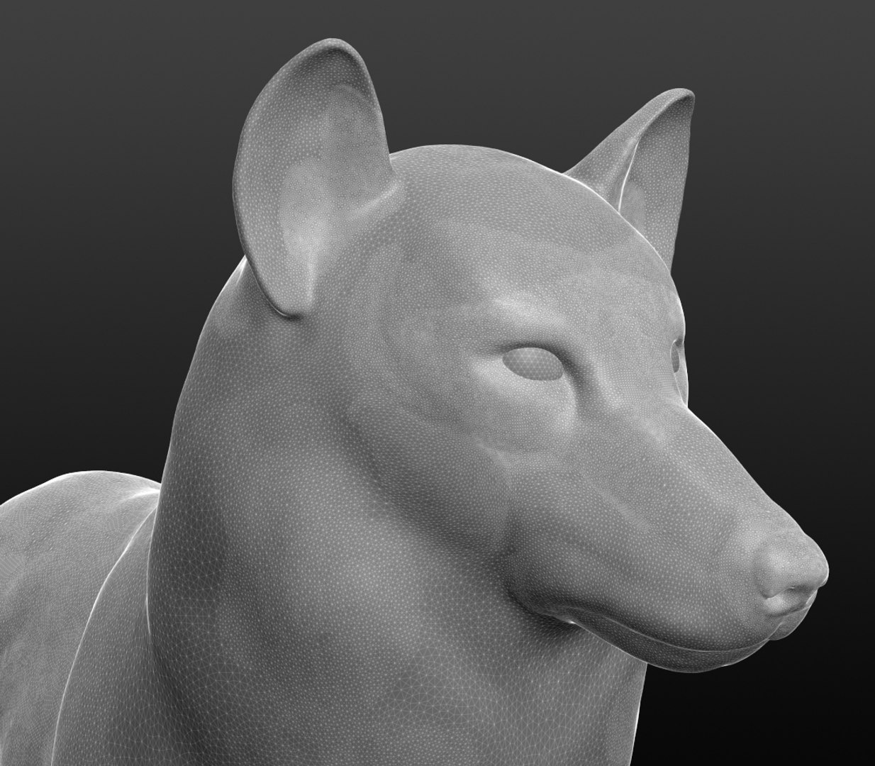3D Wolf Base Mesh - TurboSquid 1412465