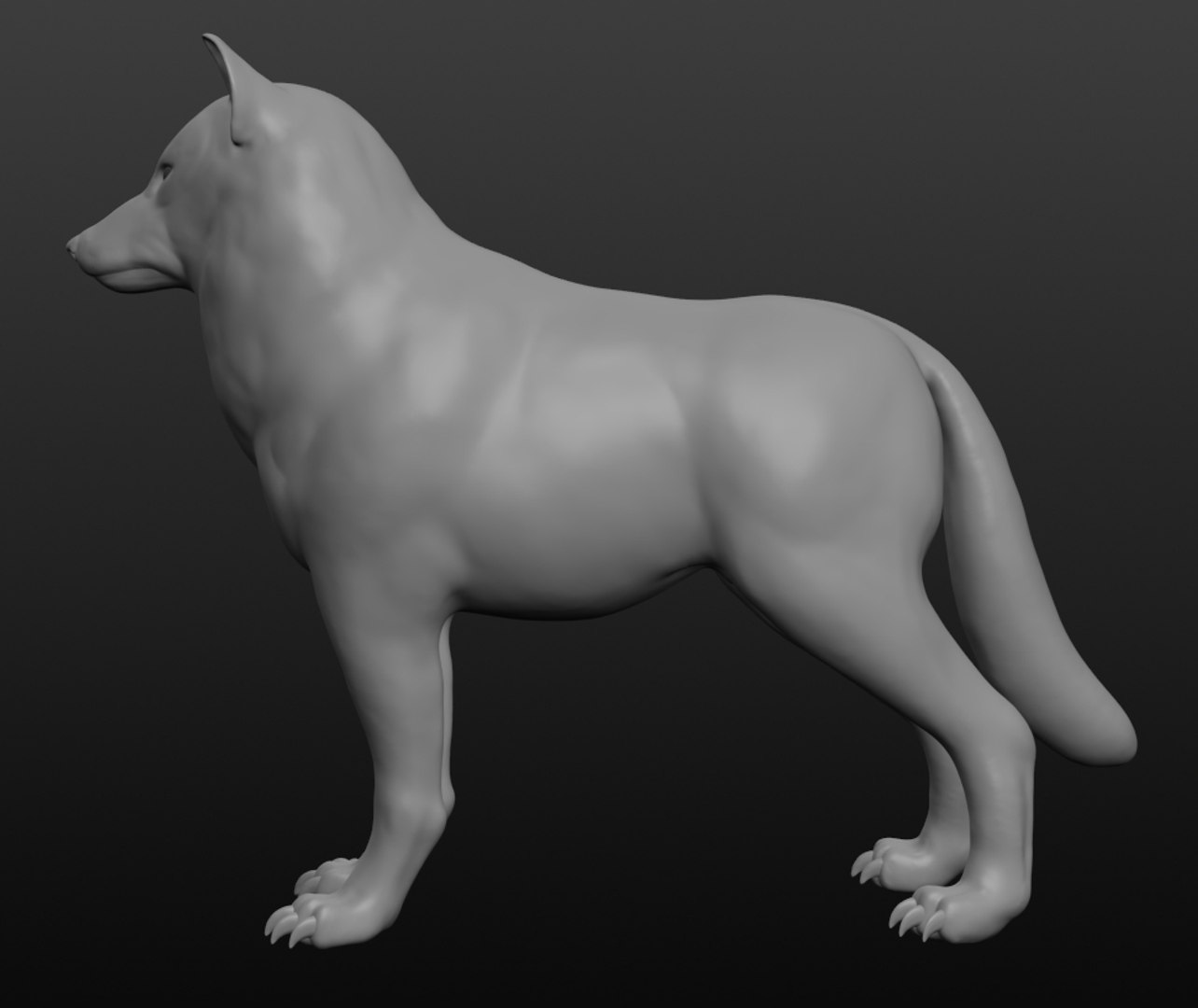 3D Wolf Base Mesh - TurboSquid 1412465