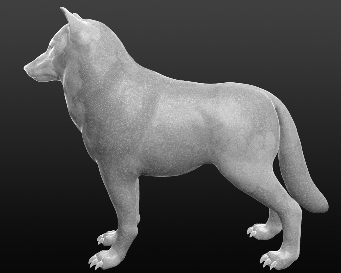 3D Wolf Base Mesh - TurboSquid 1412465