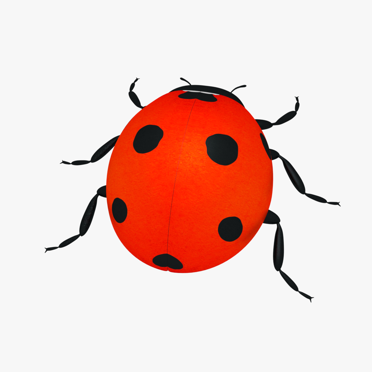 Ladybug 3D model - TurboSquid 1214546
