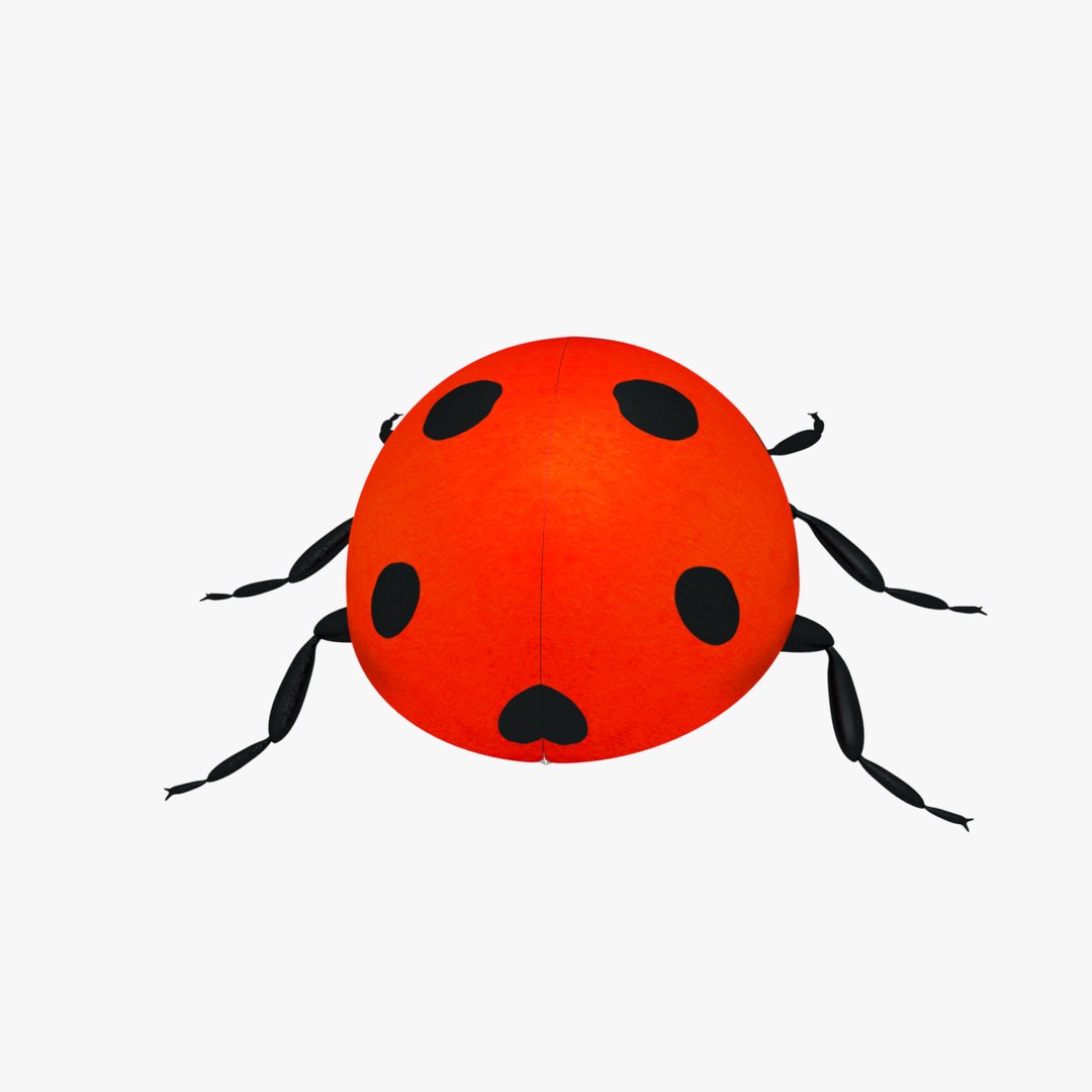Ladybug 3D model - TurboSquid 1214546