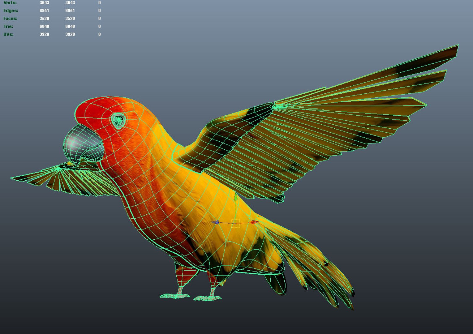 Maya Parrot Birds Macaws