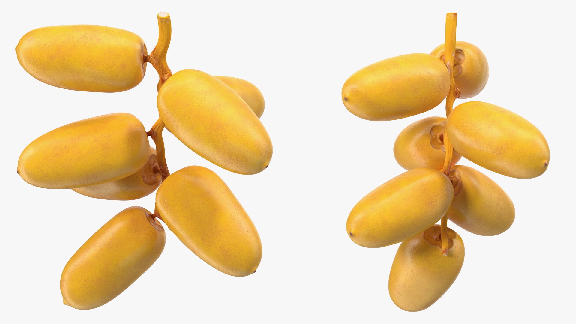 Fresh Date Fruit Model - TurboSquid 1469189