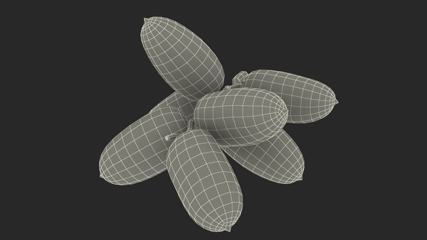 Fresh date fruit model - TurboSquid 1469189