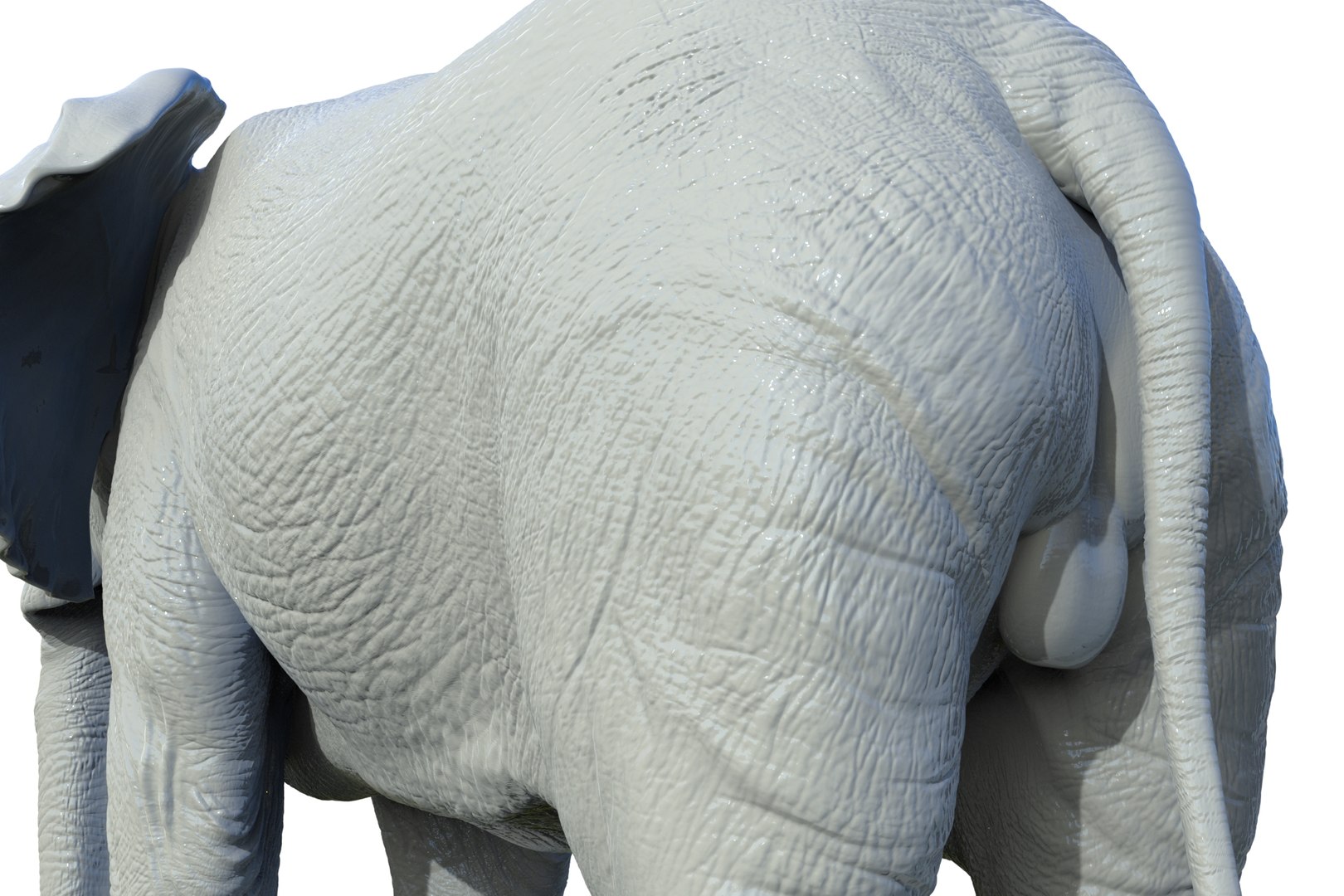 3D African Elephant - TurboSquid 2204332