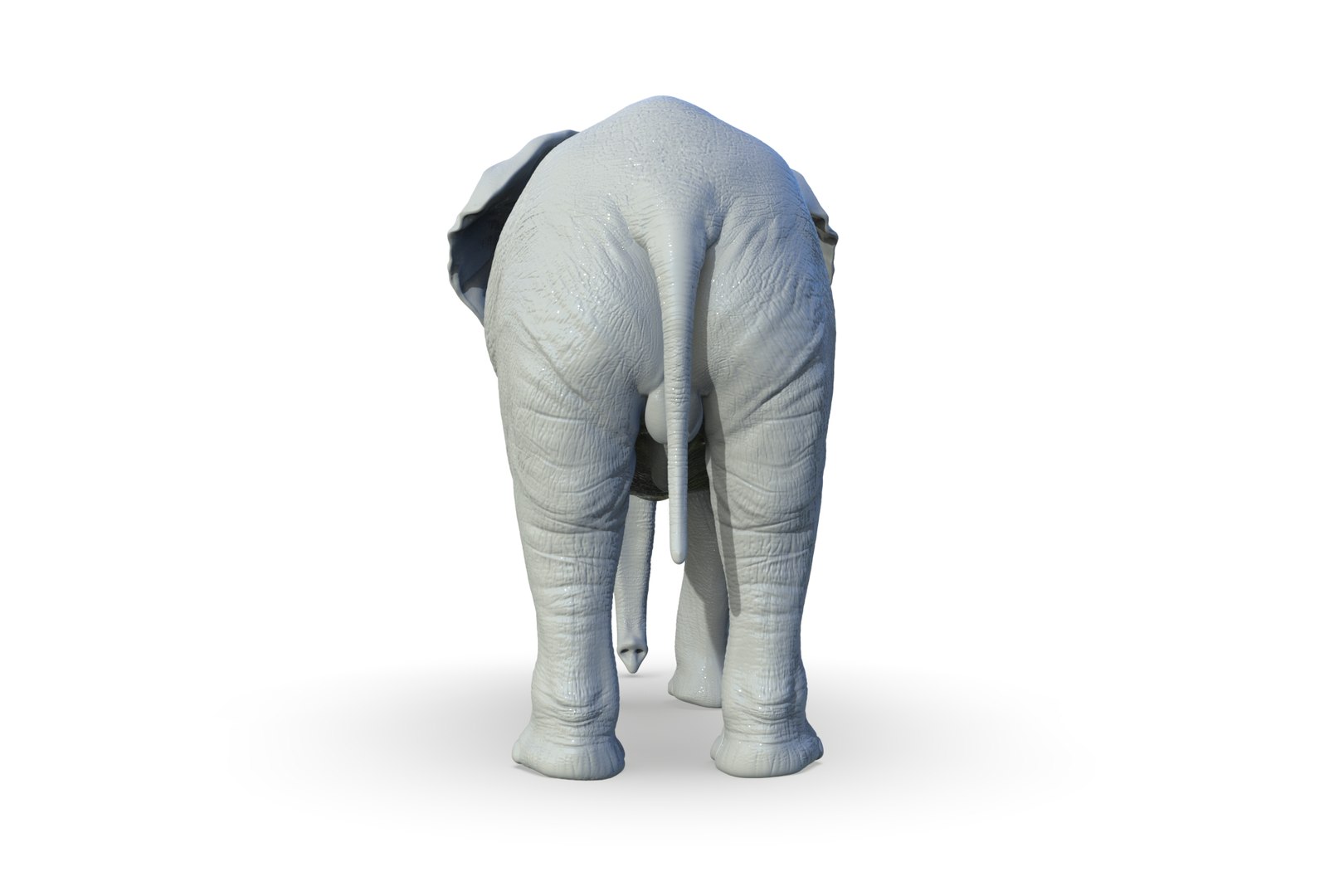 3D African Elephant - TurboSquid 2204332