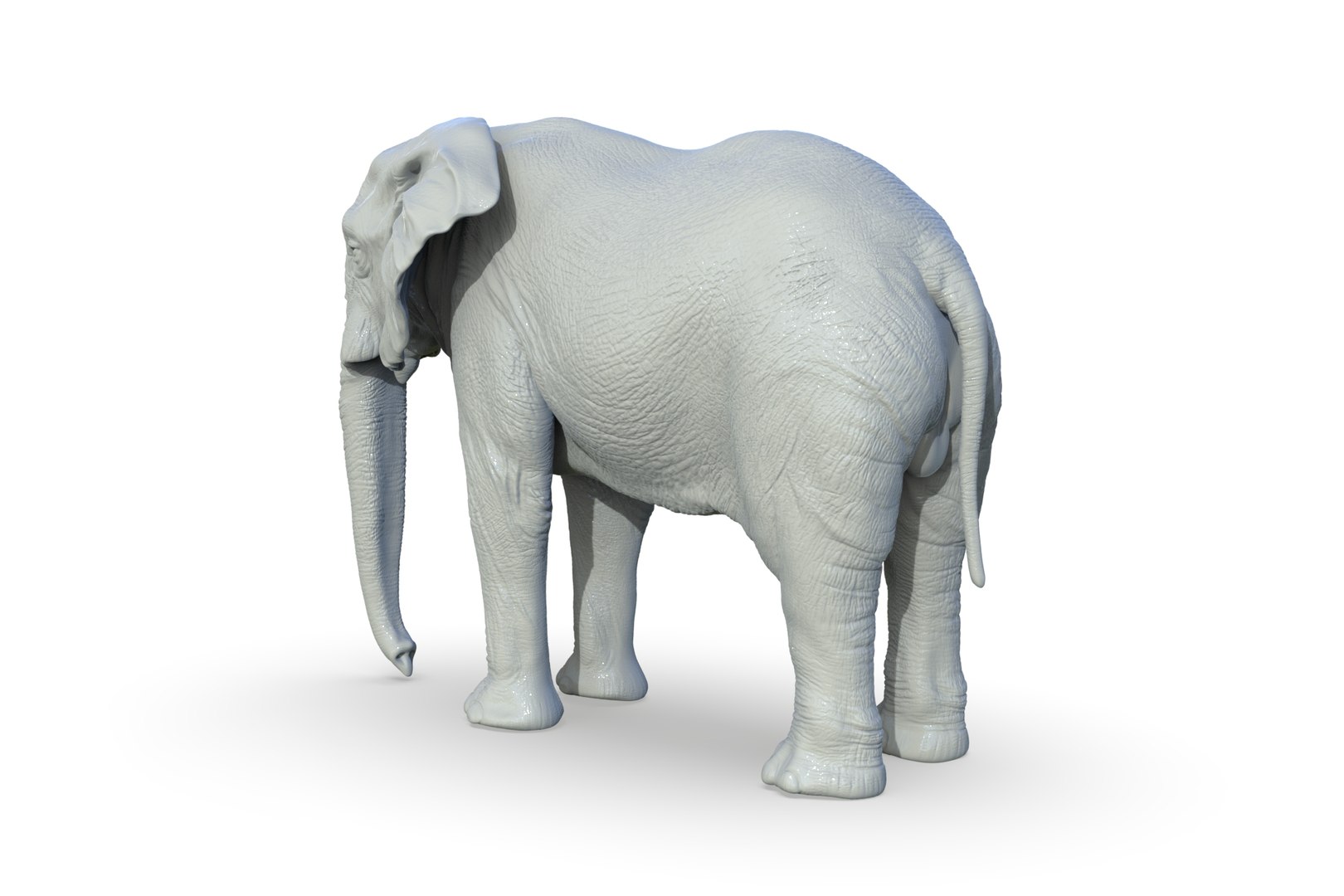 3D African Elephant - TurboSquid 2204332