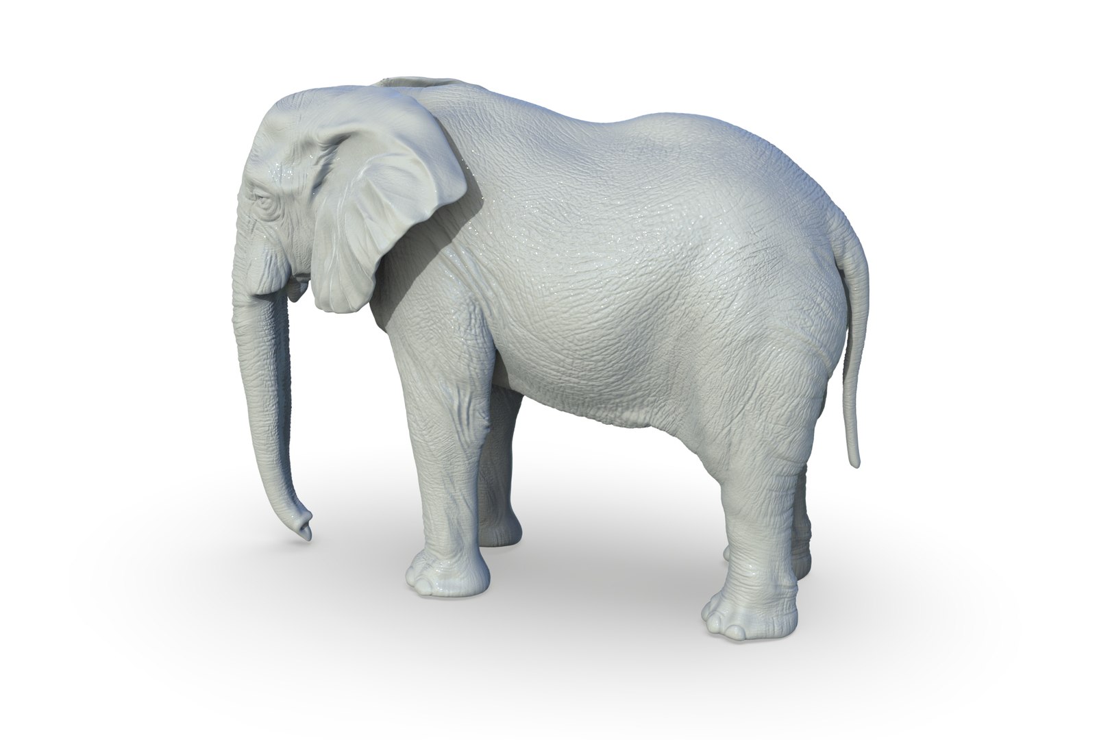 3D African Elephant - TurboSquid 2204332