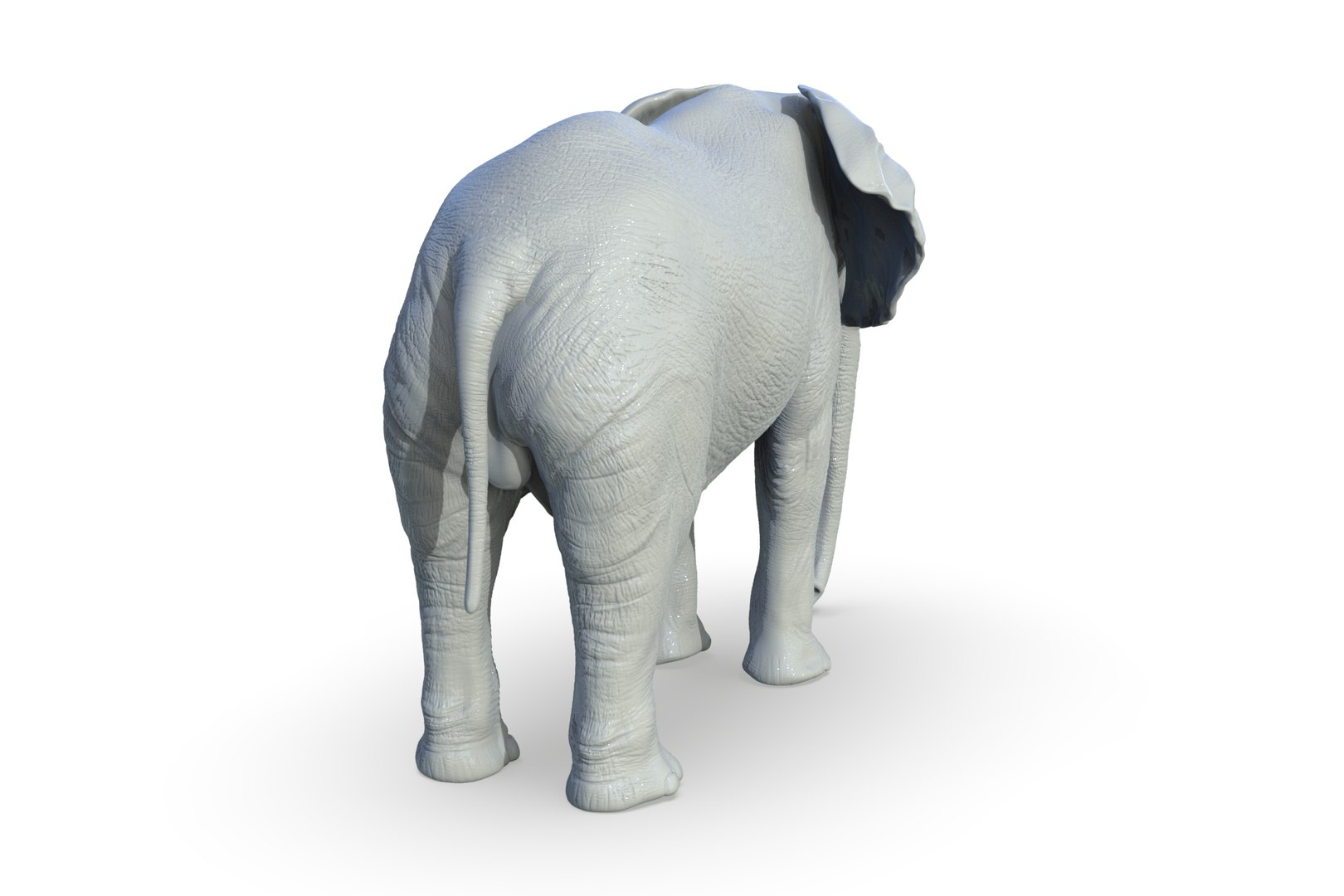 3D African Elephant - TurboSquid 2204332