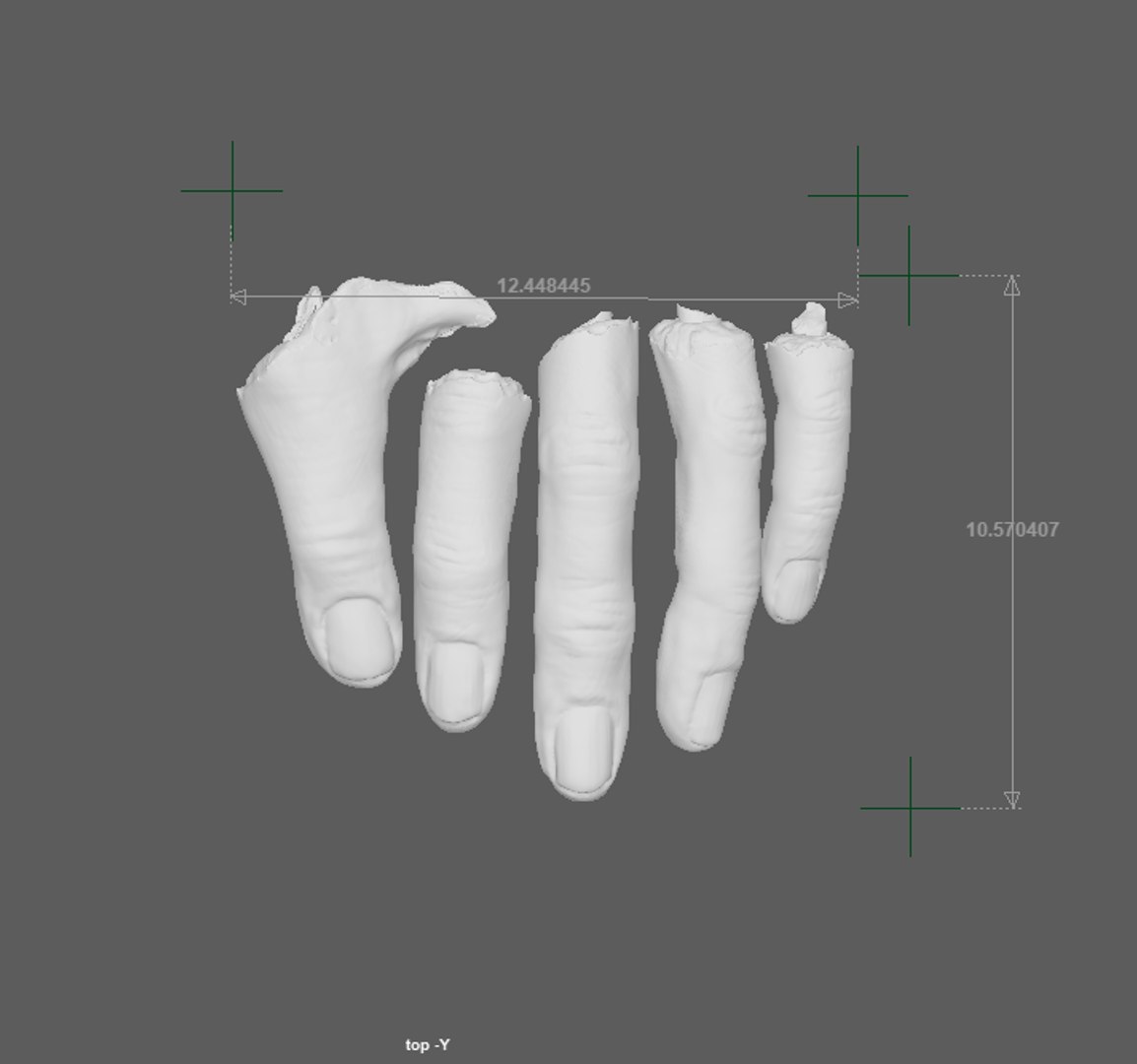 3D Severed Fingers - TurboSquid 1872651