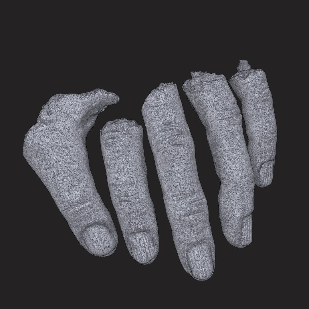 3D Severed Fingers - TurboSquid 1872651