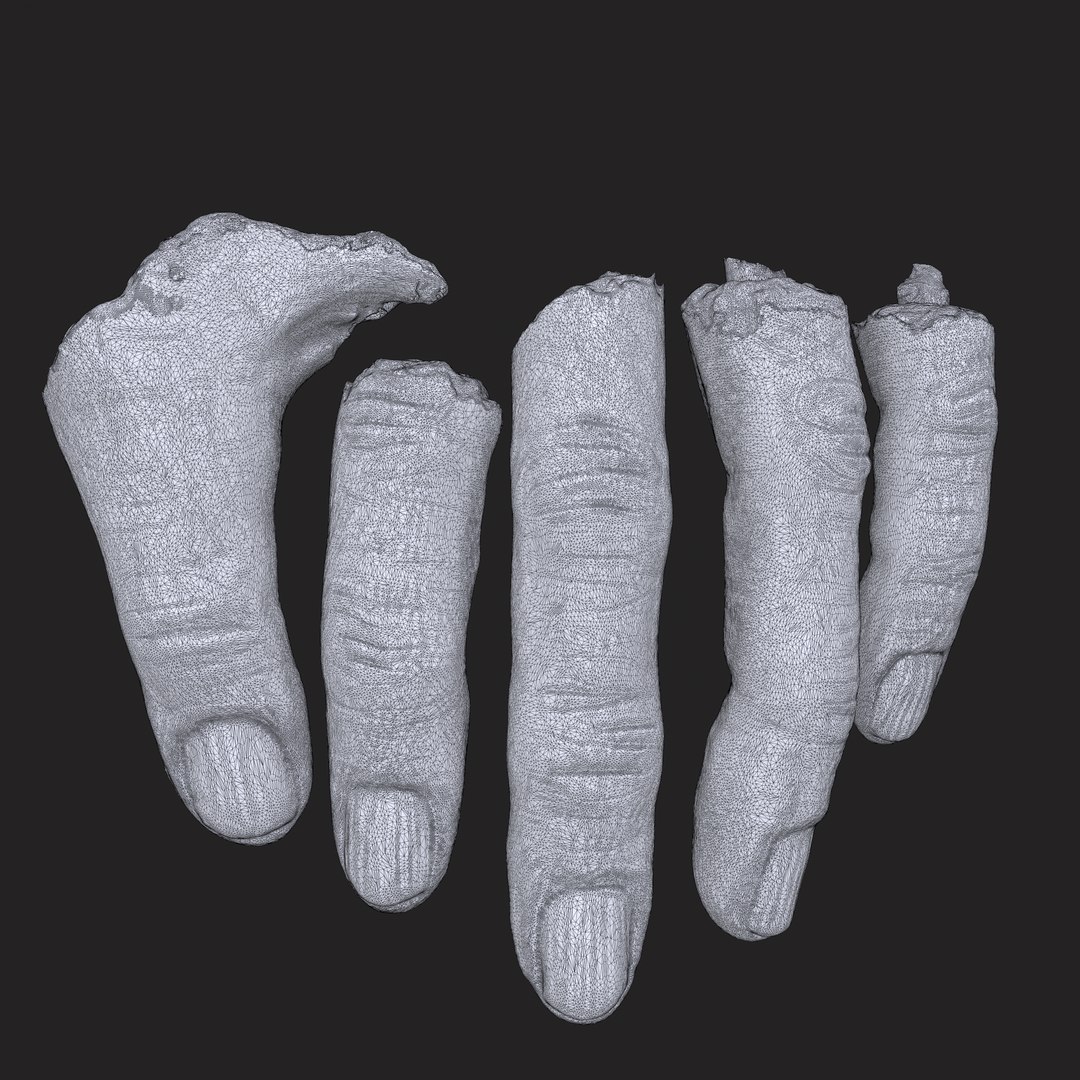 3D Severed Fingers - TurboSquid 1872651
