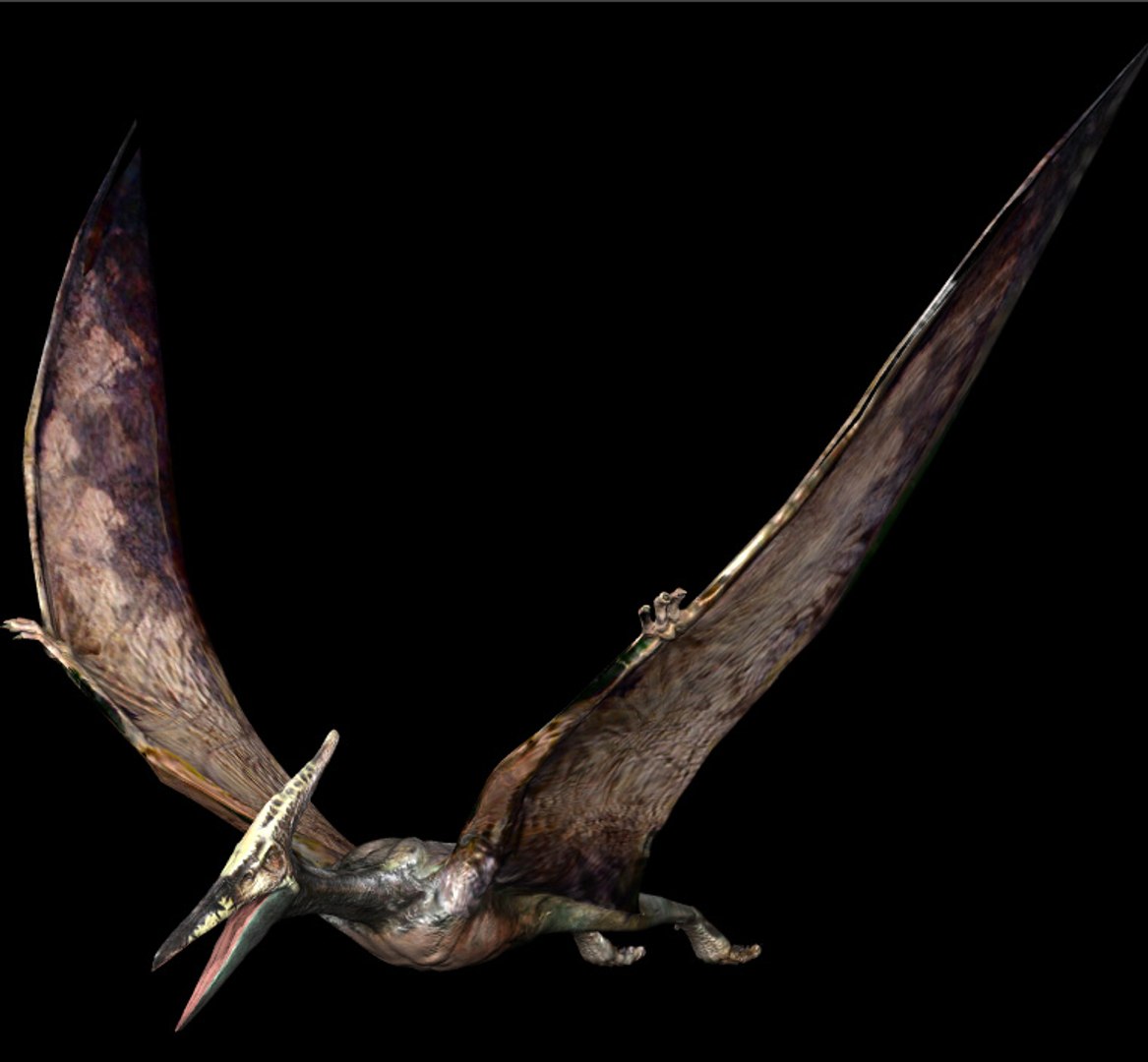 Pteranodon Jurassic Park - 3d Model