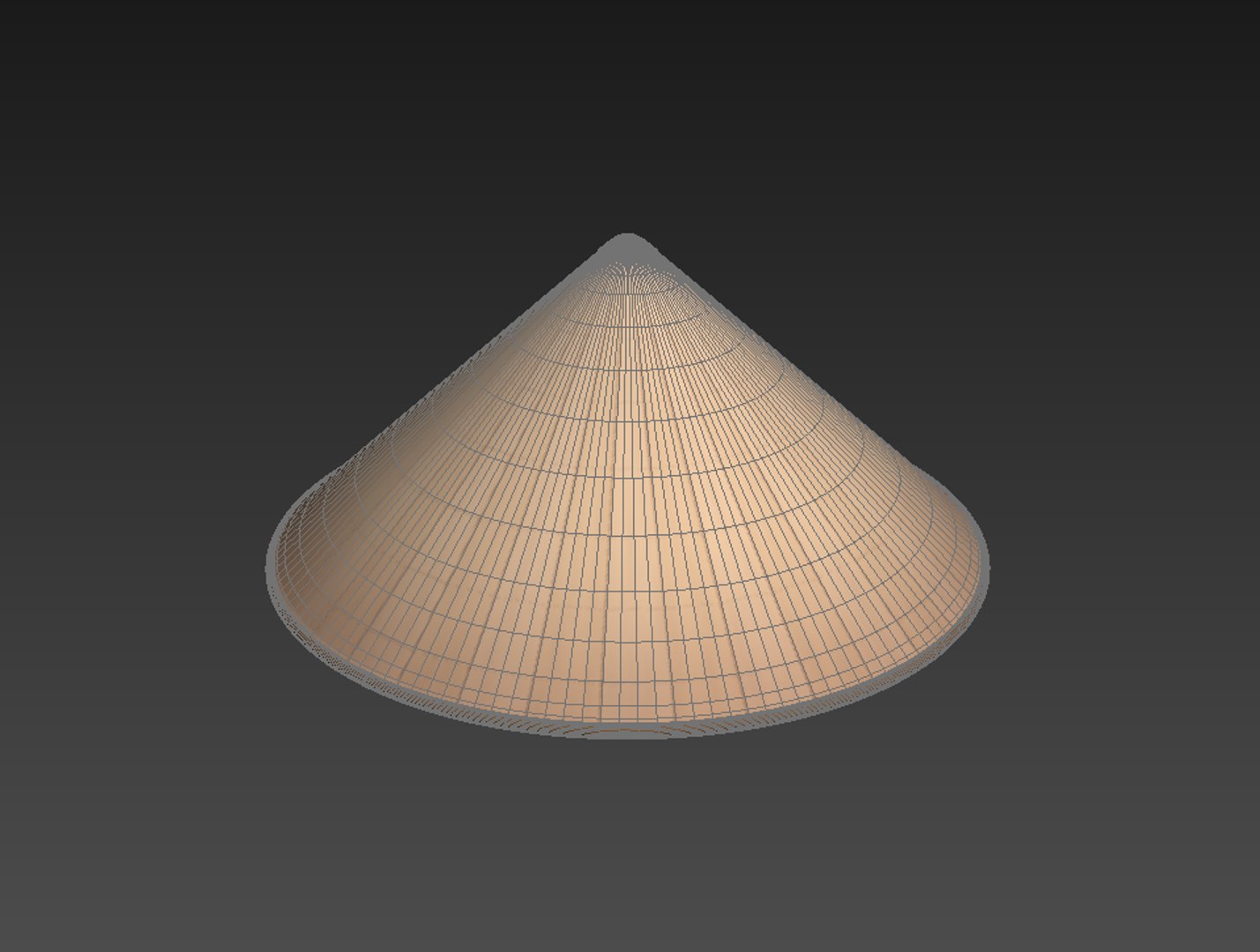 3D Conical Hat Model - TurboSquid 1397454