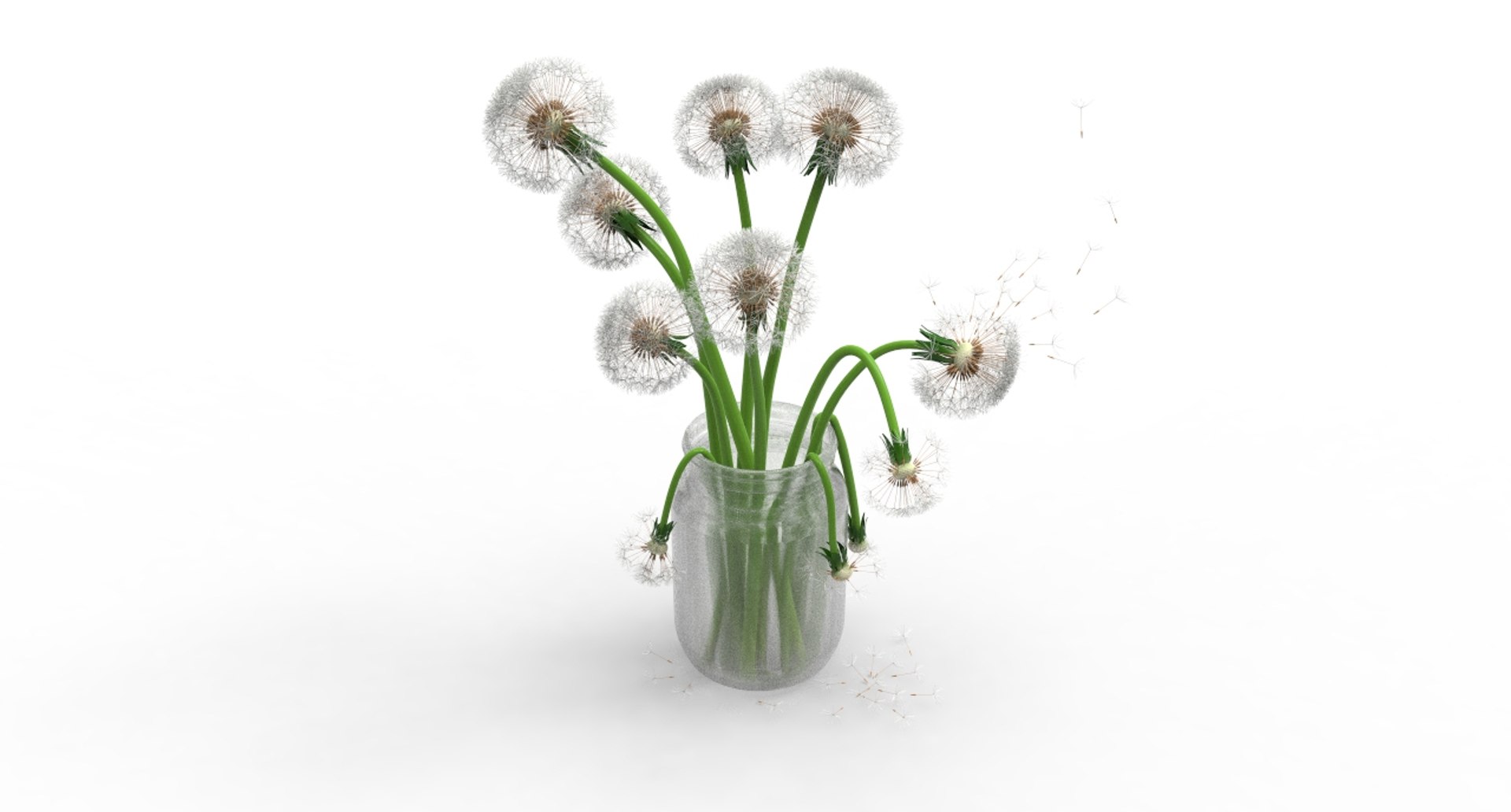Dandelions 3D - TurboSquid 1521288