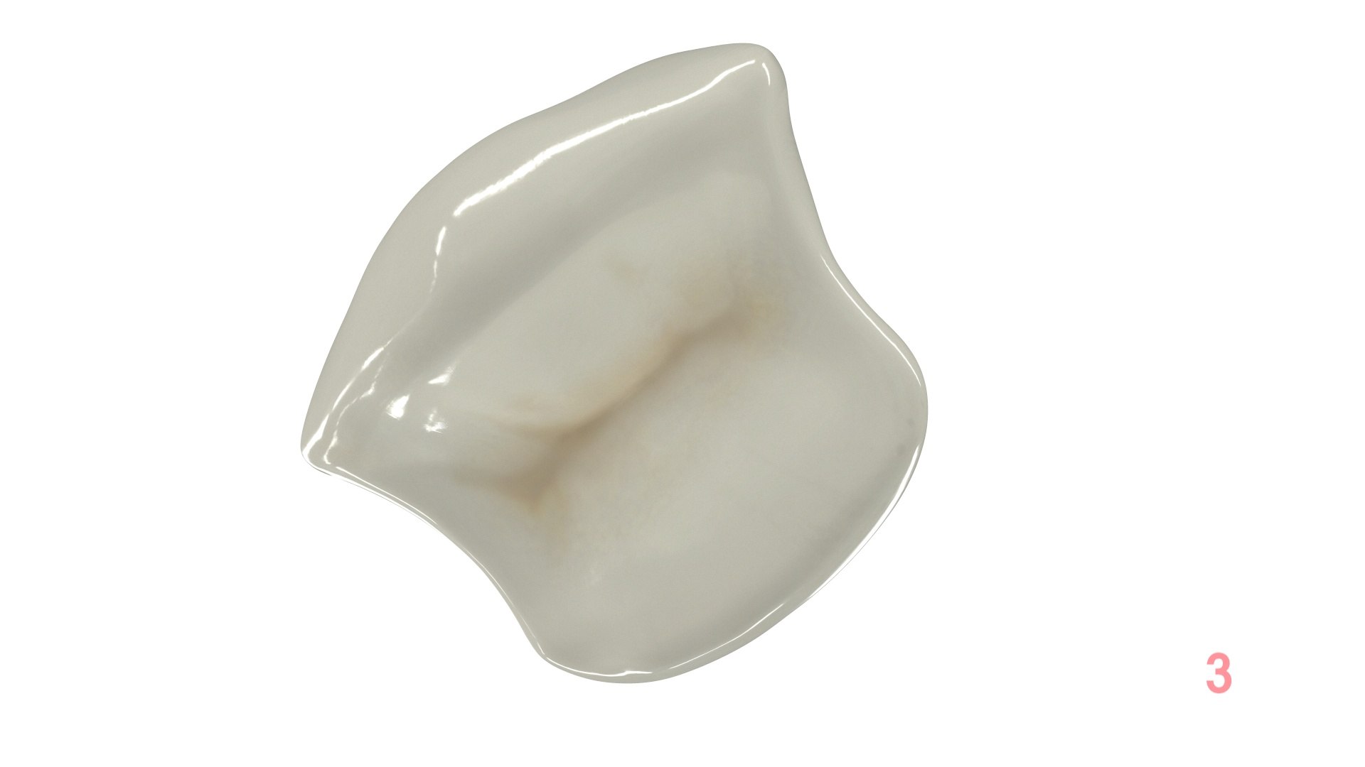 3D human teeth upper premolar - TurboSquid 1518066