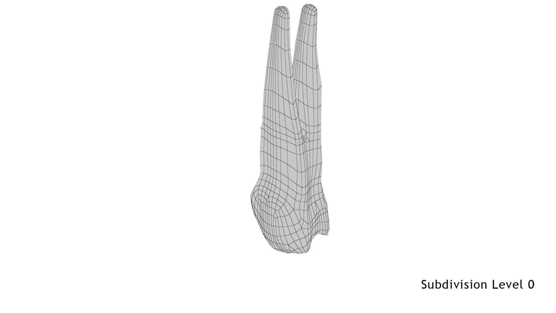 3D human teeth upper premolar - TurboSquid 1518066