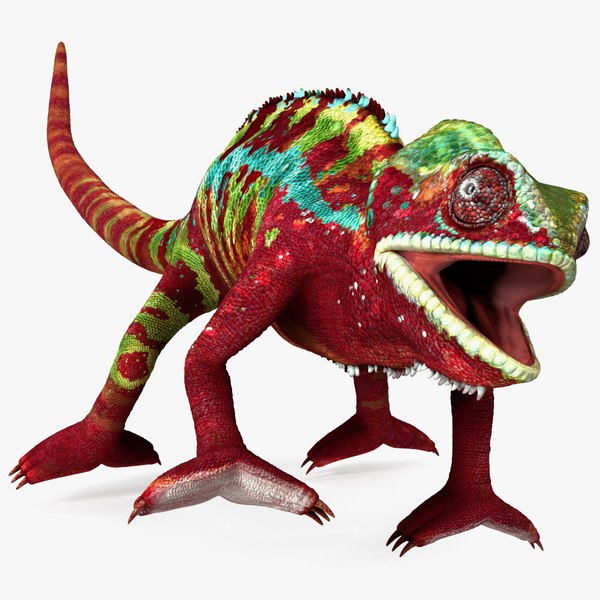modelo 3d Chameleon Red Rigged - TurboSquid 2062984
