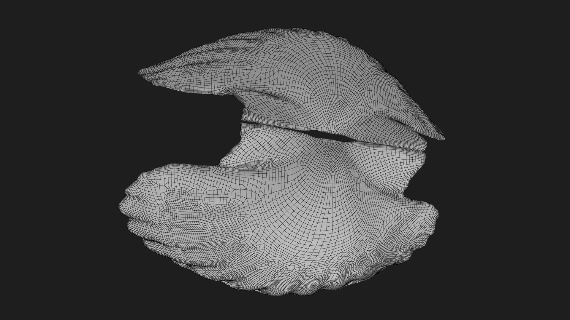 Clam Shell Pearl 02 Animated 3D Model - TurboSquid 2223929