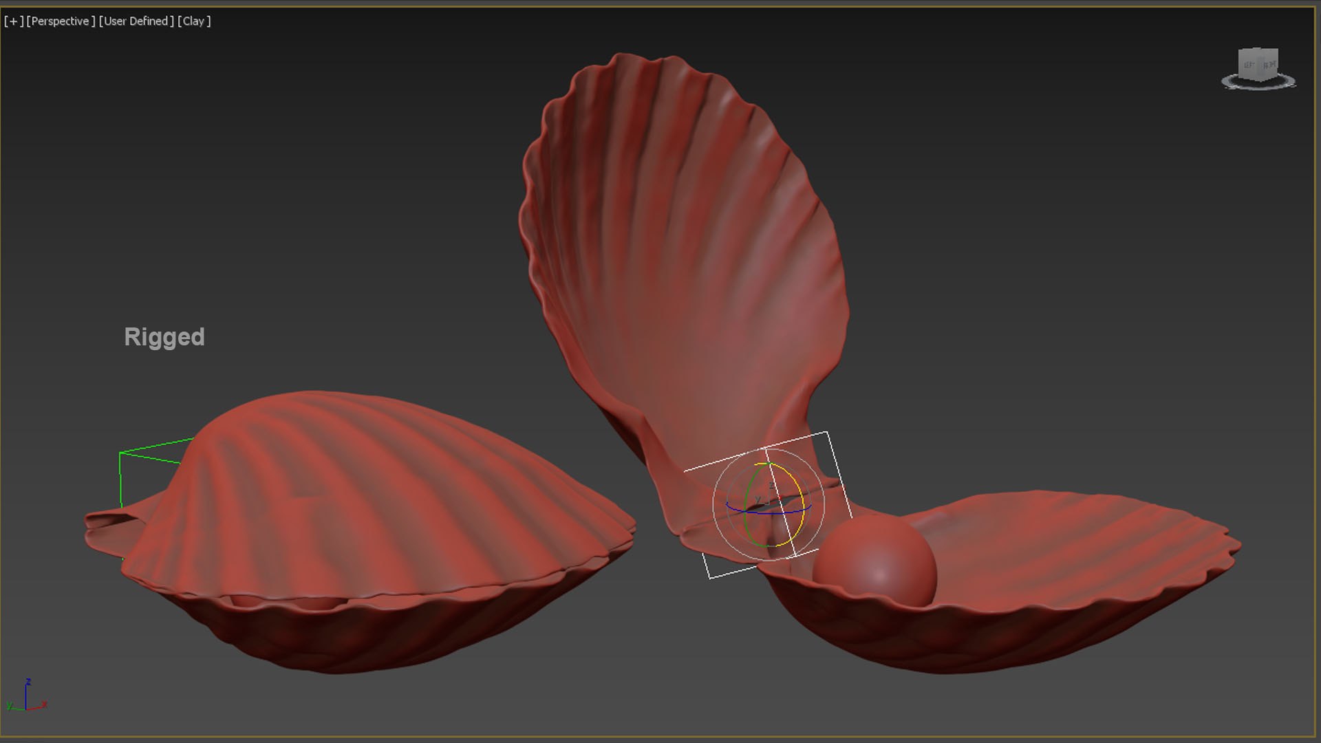 Clam Shell Pearl 02 Animated 3D Model - TurboSquid 2223929