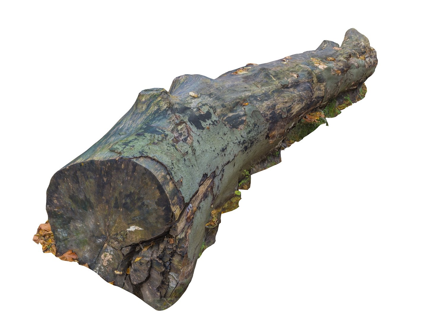 3d model big logs 16k