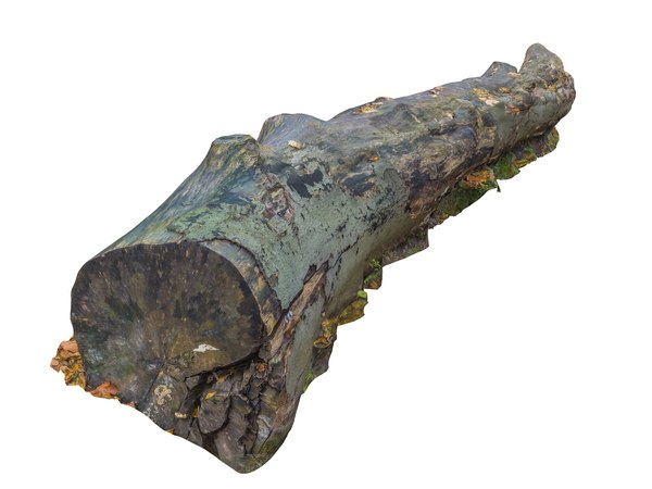 3d model big logs 16k