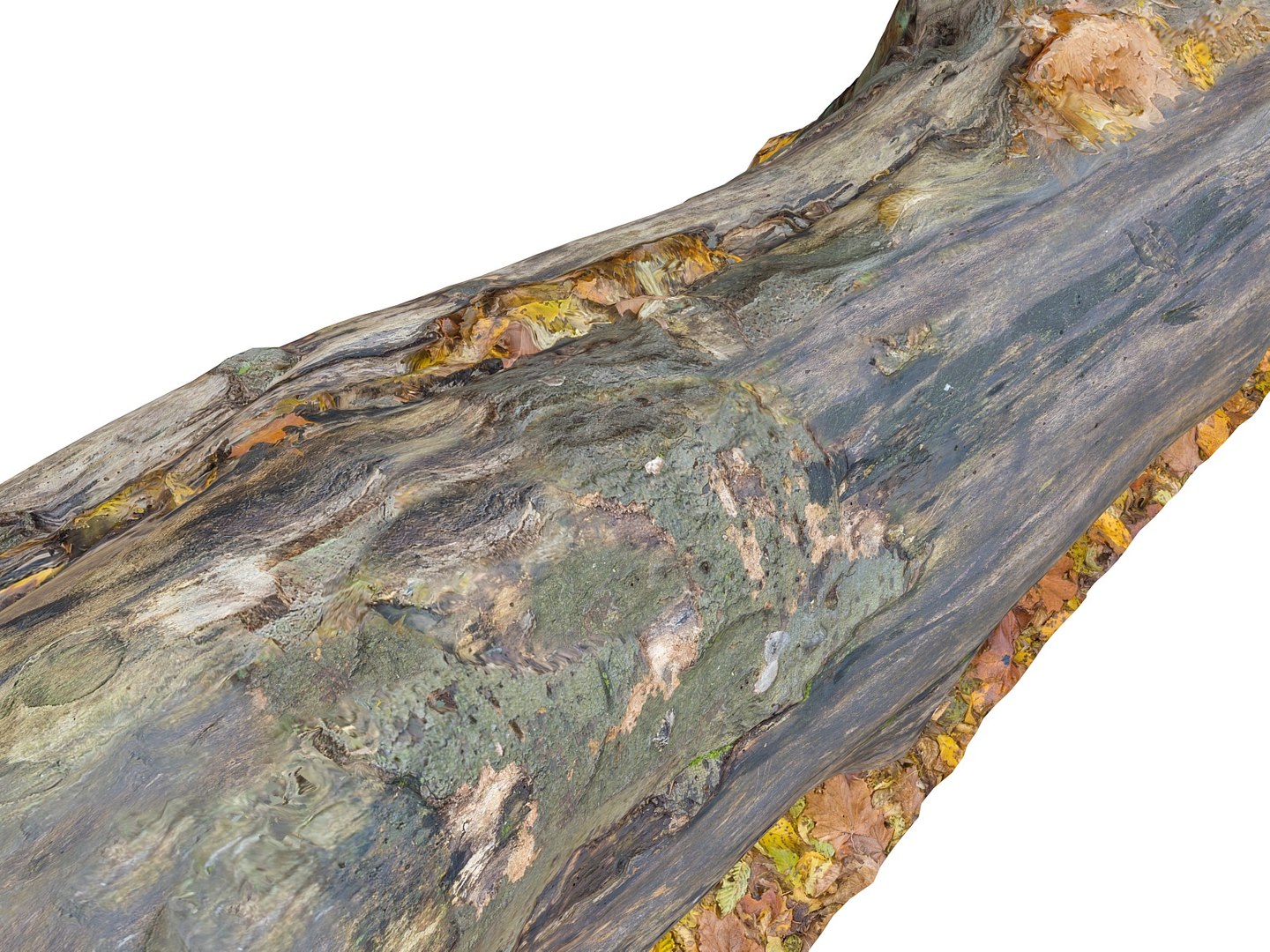 3d model big logs 16k