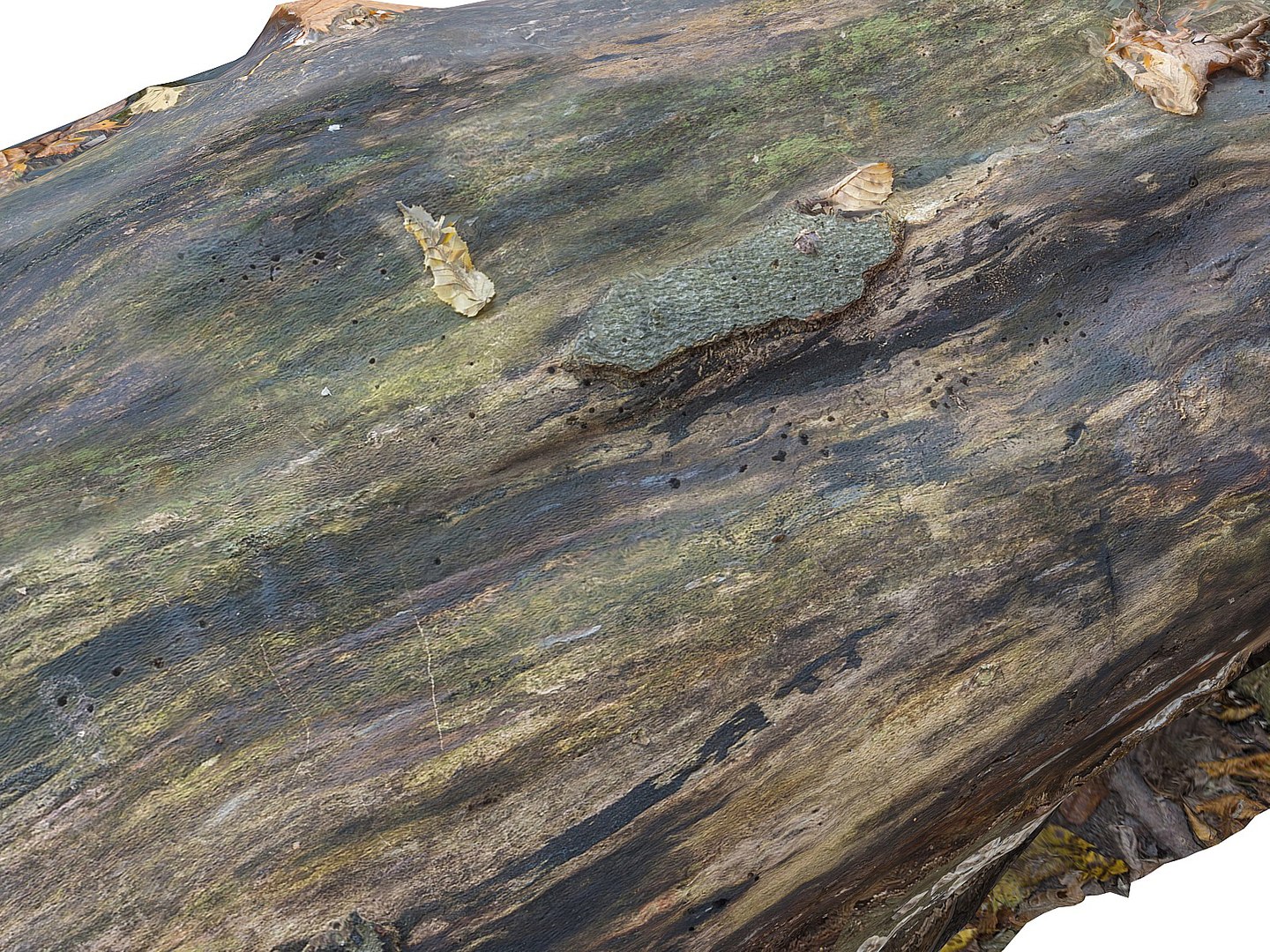 3d model big logs 16k