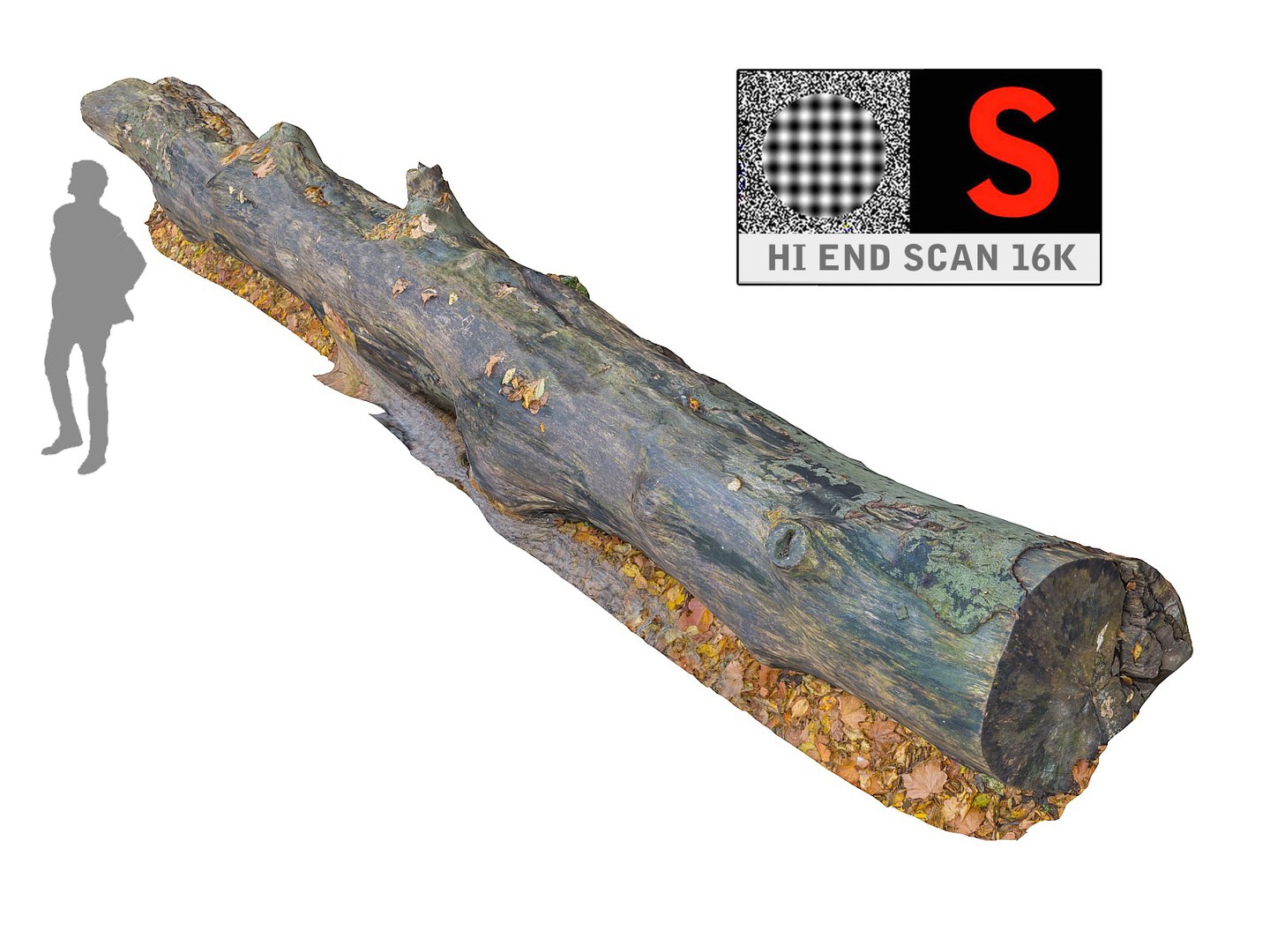 3d model big logs 16k