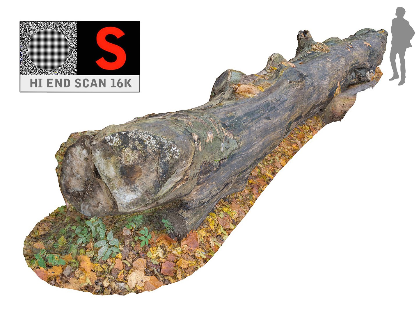 3d model big logs 16k
