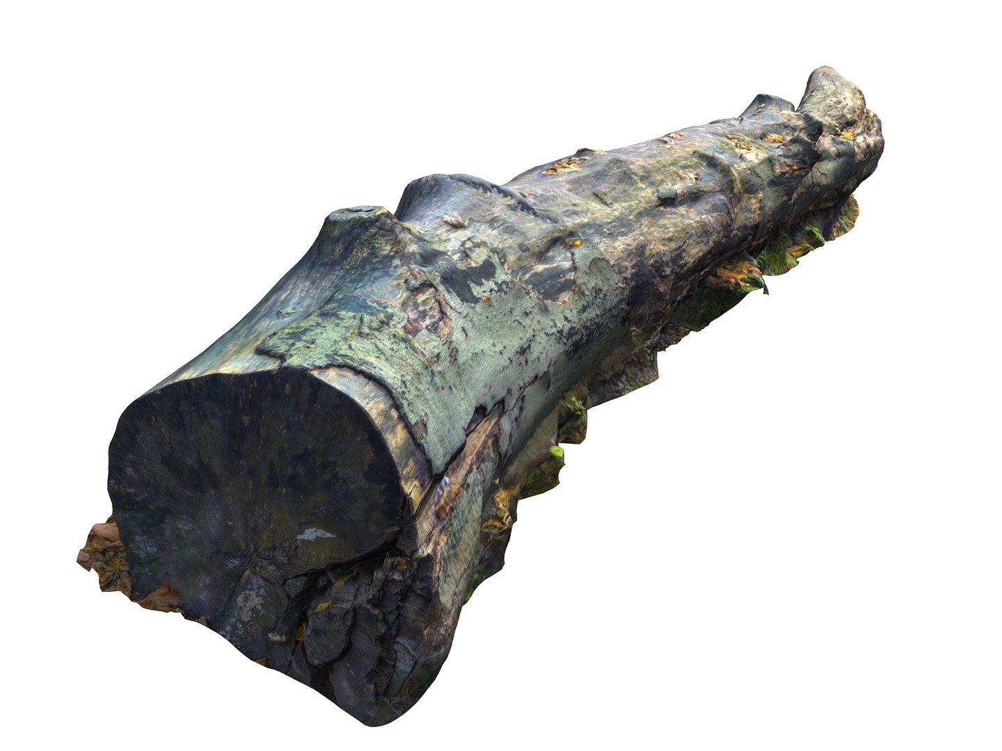 3d model big logs 16k