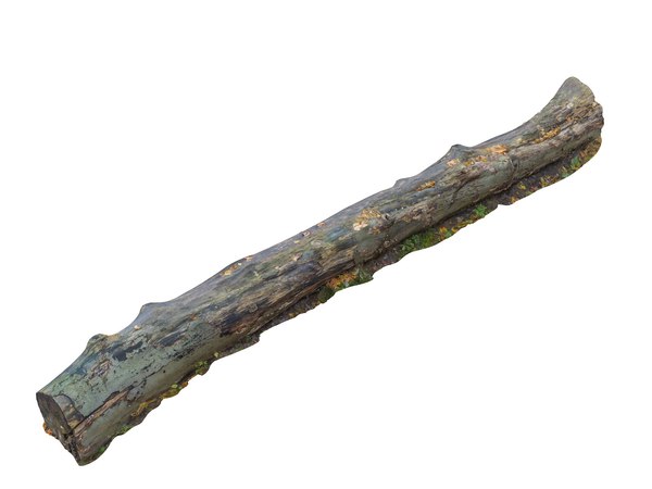 3d model big logs 16k