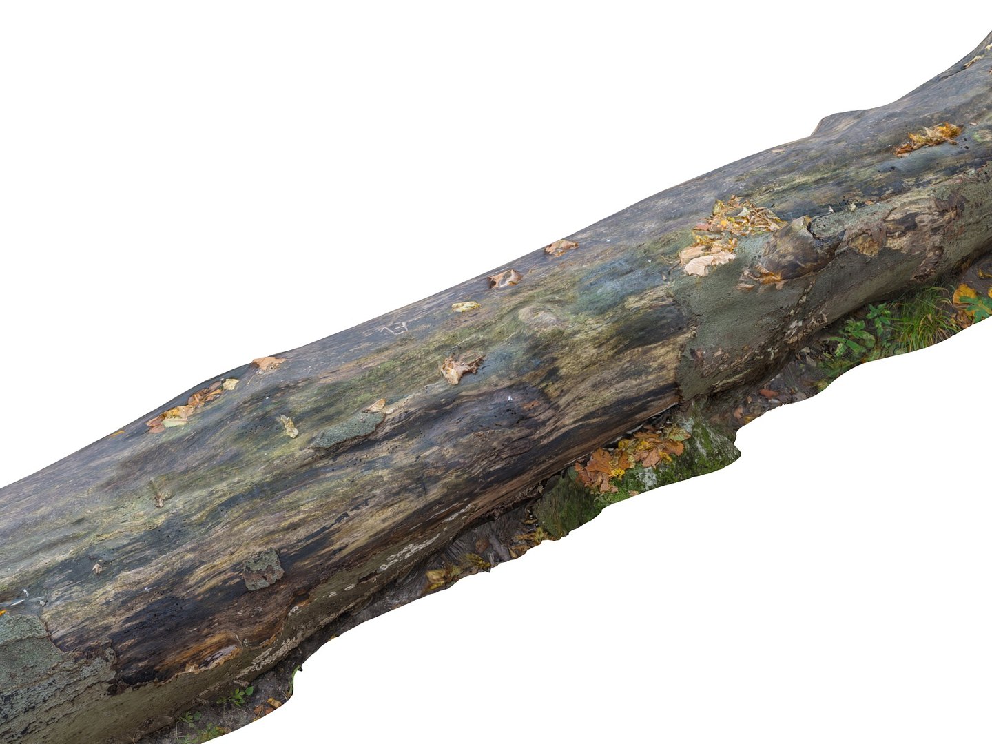 3d model big logs 16k