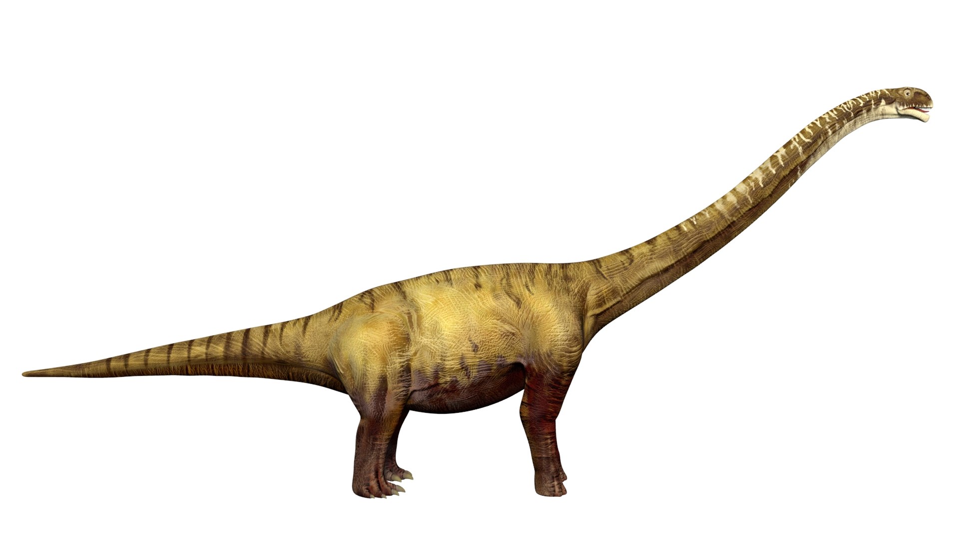 3D Chuanjiesaurus Dinosaur Jurassic Animal Model - TurboSquid 2341119
