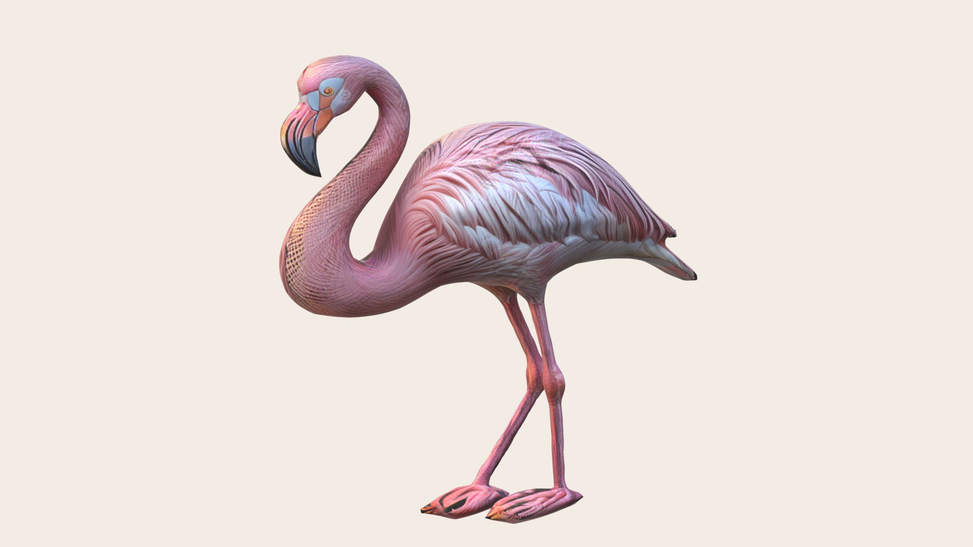 3D Flamingo Model - TurboSquid 2209405