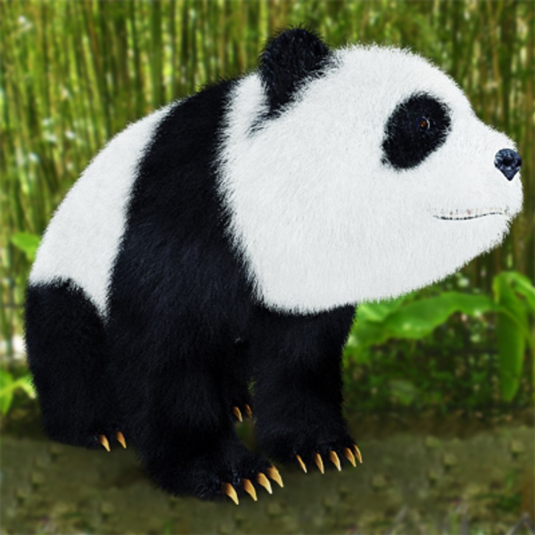 Giant Panda 3d 3ds