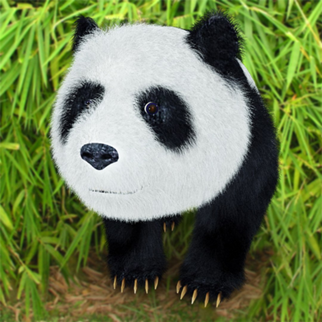 Giant Panda 3d 3ds