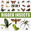 3D Model Insects Big Rigged - TurboSquid 1230175