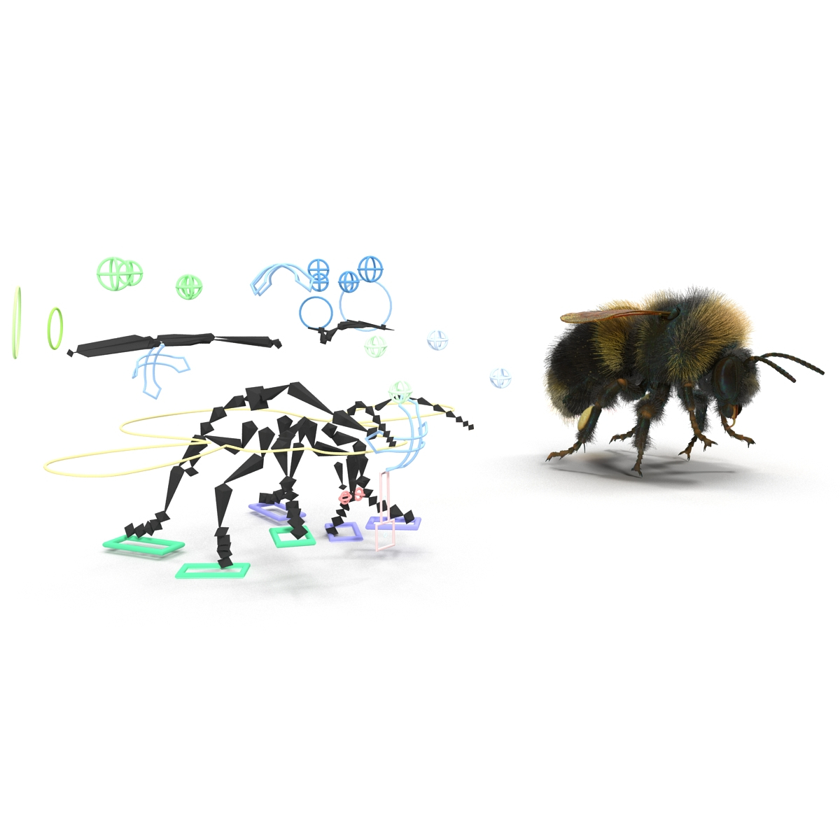 3D model insects big rigged - TurboSquid 1230175