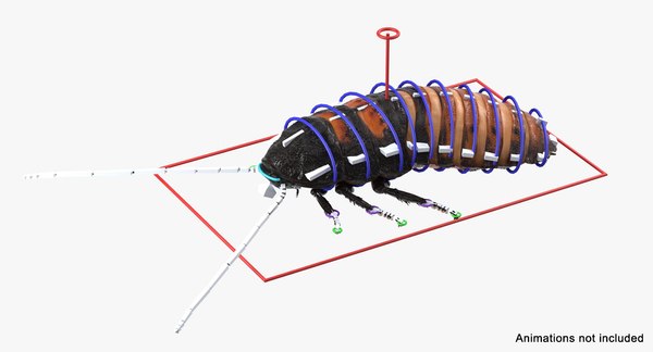 3D model insects big rigged - TurboSquid 1230175