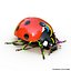 3D Model Insects Big Rigged - TurboSquid 1230175